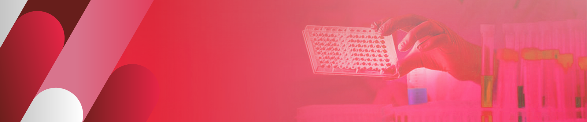 ELISA Kits | GenScript