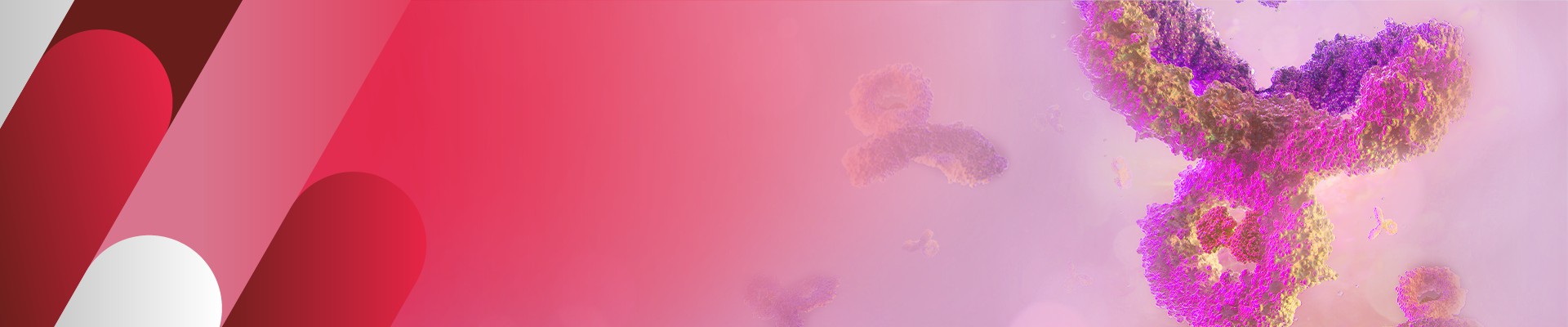 Antibody | GenScript