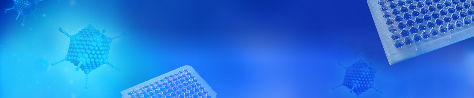 BSA ELISA Kit, 2G | GenScript