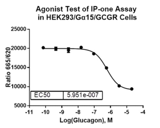 GPCR Stable Cell Lines | GenScript