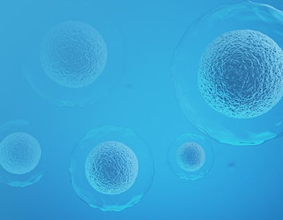 Cell Isolation and Activation | GenScript