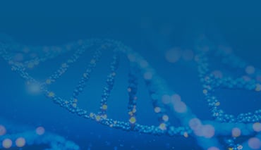 Immune Checkpoint Stable Cell Lines