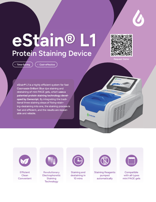 eStain™ L1 Protein Staining System | GenScript