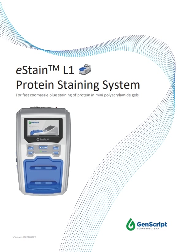 eStain™ L1 Protein Staining System | GenScript