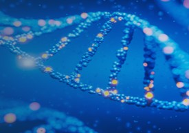 10th CAR-TCR Summit | Genscript