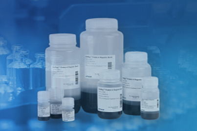 AmMag™ Quatro ProAb 1300 Automated Protein/Antibody Purification System | GenScript