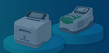 GenBox™ Mini/Midi Electrophoresis Tank | GenScript