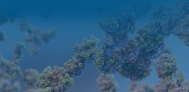 GenBox™ Mini/Midi Electrophoresis Tank | GenScript