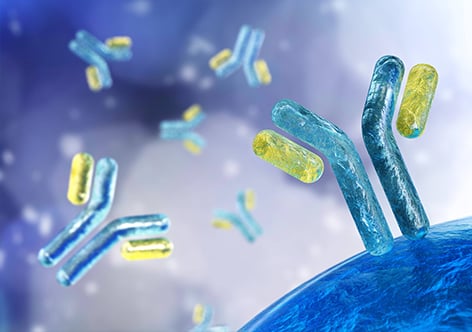 GenScript Products | Bioreagents, Instruments, and Kits for Life ...