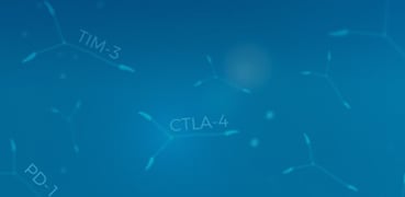 Fc Receptor Stable Cell Lines | Genscript