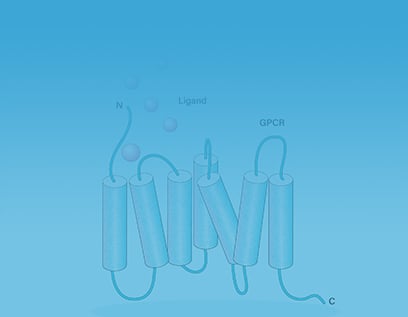 Stable Cell Lines | GenScript