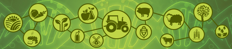 Applications of Synthetic Biology in Food Industry and Agriculture