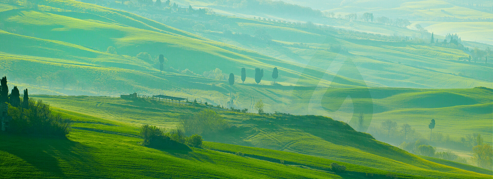 Sustainability | GenScript