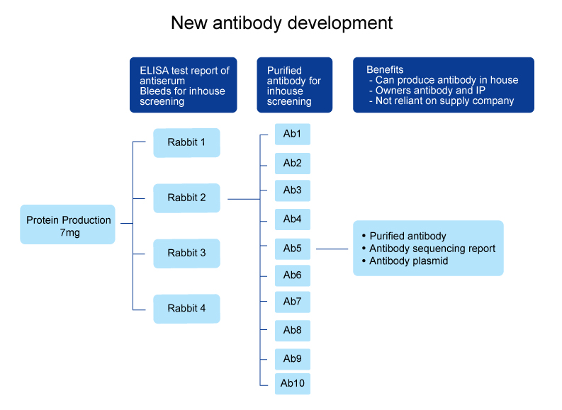 GenScript Showcased CRISPR and Monoclonal Antibody Services at AACR ...