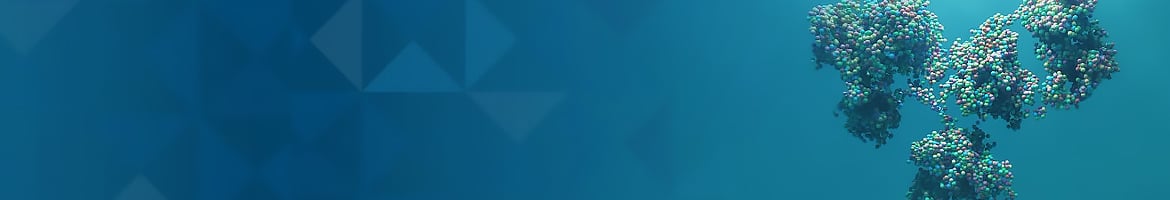 Antibody Engineering & Therapeutics 2023