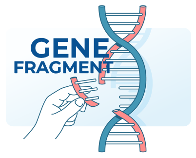 GenScript’s 2024 iGEM Gene Fragment Giveaway