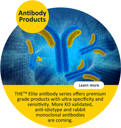 GenScript 15 Years of Innovation Celbration & Awards | GenScript