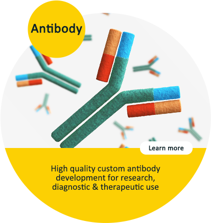 GenScript 15 Years of Innovation Celbration & Awards | GenScript