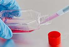 Biologics Discovery and Development Services | GenScript