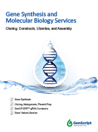 Brochures and Catalogs