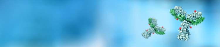 Hit Generation and Screening