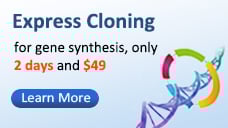 GenScript launches a premier gene synthesis service "Gene-Brick™" for ...