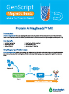 Brochures and Catalogs