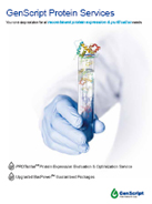 Brochures and Catalogs