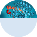 GenScript 15 Years of Innovation Celbration & Awards | GenScript