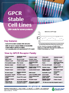 Brochures and Catalogs