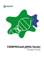 CRISPR/Cas9 Plasmids for sgRNA Delivery & Gene Editing