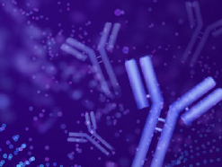 Antibody Sequencing Promotion