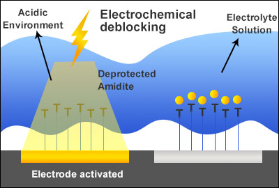GenScript NGS Target Enrichment Total Solutions Kit