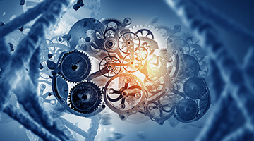 GenScript - Make Research Easy - The leader in molecular cloning and ...