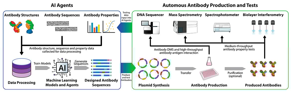AI-Powered Antibody Drug Development: Transforming Developability Assessment with Intelligent ...