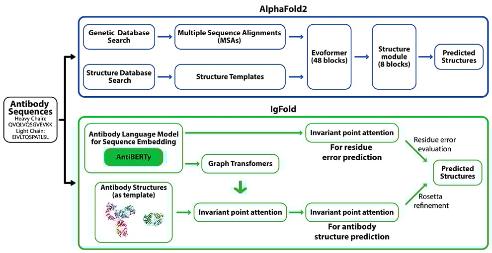AI-Powered Antibody Drug Development: Transforming Developability ...