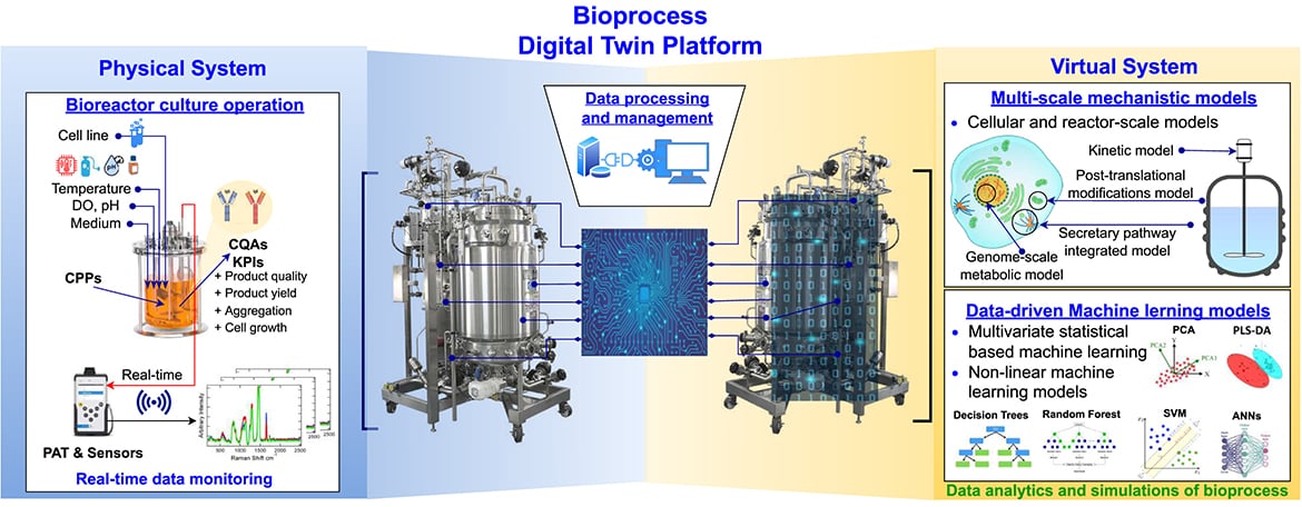 AI-Powered Antibody Drug Development: Transforming Developability ...