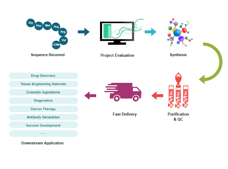 Custom Peptide Synthesis Enables Your Downstream Applications