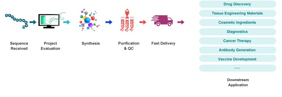 Custom Peptide Synthesis Enables Your Downstream Applications