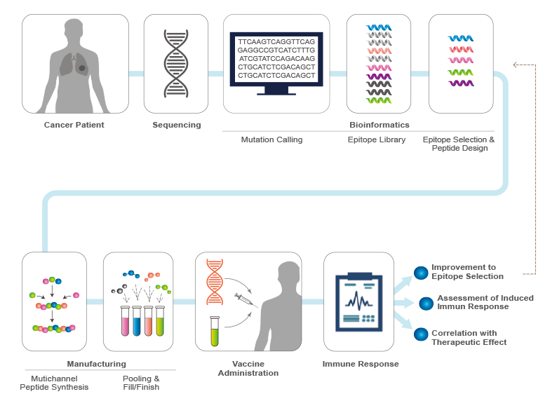 Custom Peptide Synthesis Enables Your Downstream Applications
