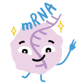 Find Your Matching Antibody