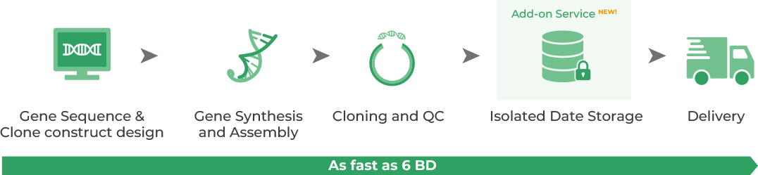 Fast Gene Synthesis Promotion | GenScript