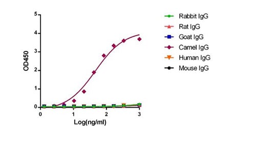 Anti-VHH Antibodies