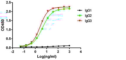 Anti-VHH Antibodies