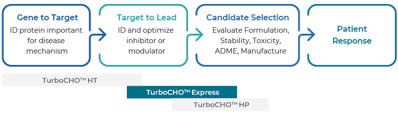 Recombinant Antibody Production with TurboCHO™ Express Platform
