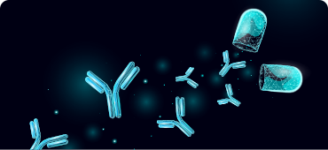 What Is an Anti-Id Antibody? Classification, Applications & Immune ...