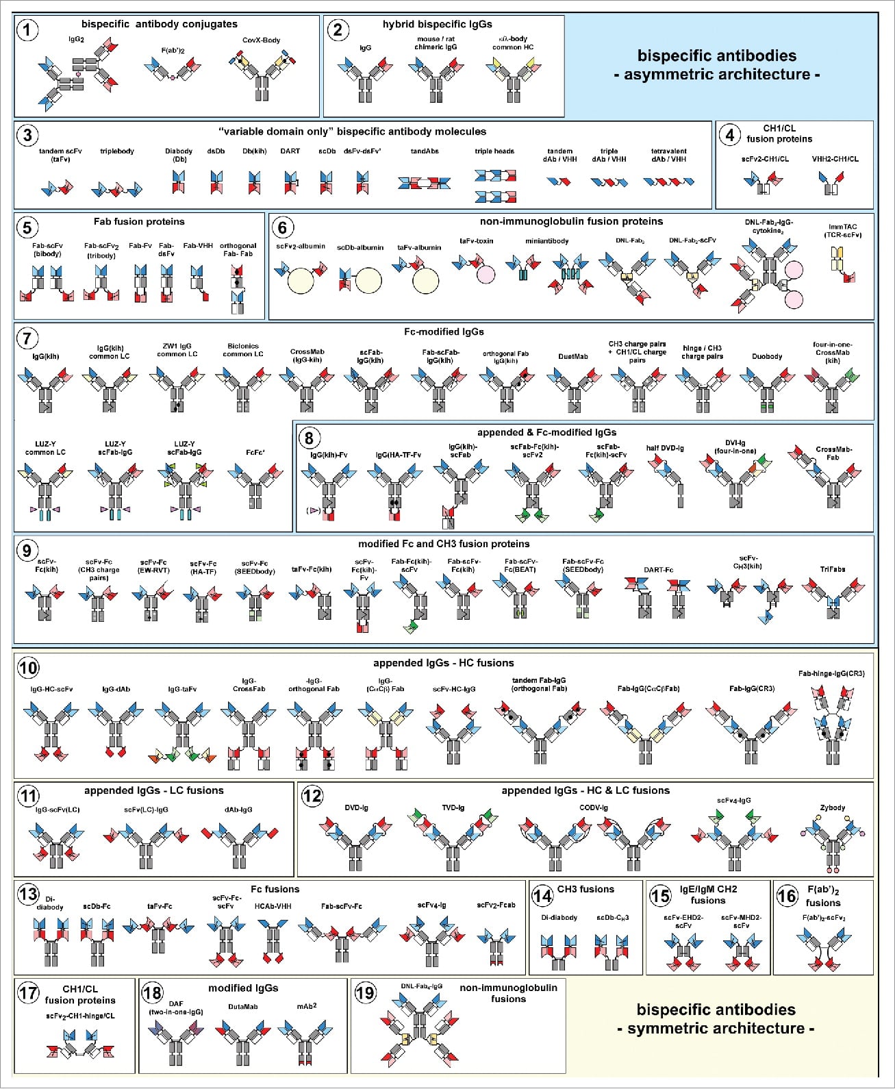 Comprehensive Guide to Bispecific Antibodies: Formats, Recombinant ...