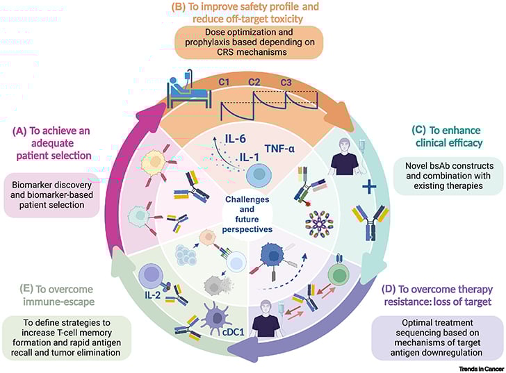 Comprehensive Guide to Bispecific Antibodies: Formats, Recombinant ...