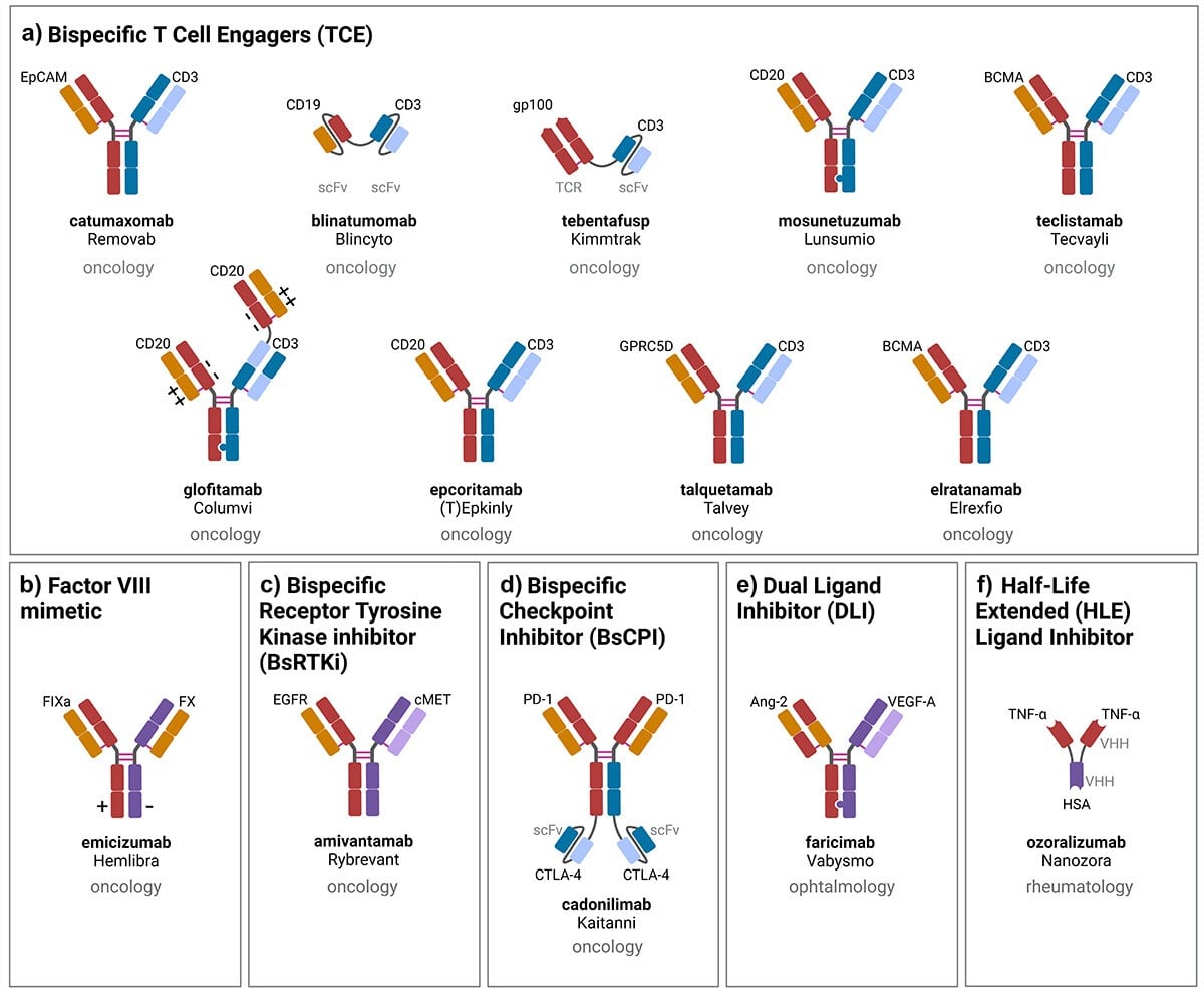 Bispecific T-Cell Engagers for Cancer Immunotherapy