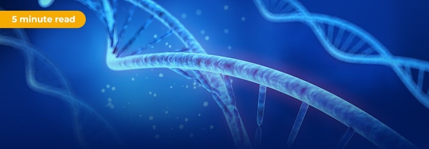 Circular RNA: Unlocking Next-Generation Cell & Gene Therapy with GenScript | GenScript